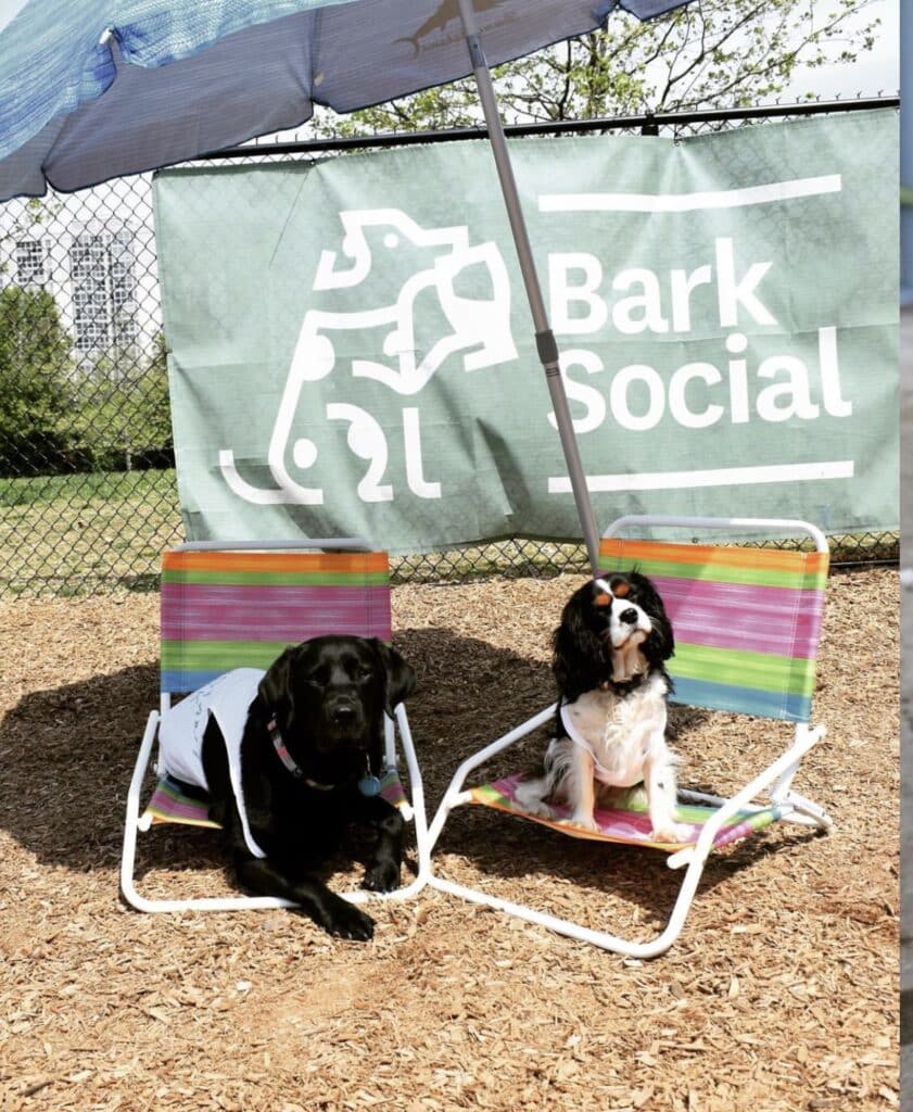 Bark Social – ManayunkMag.com